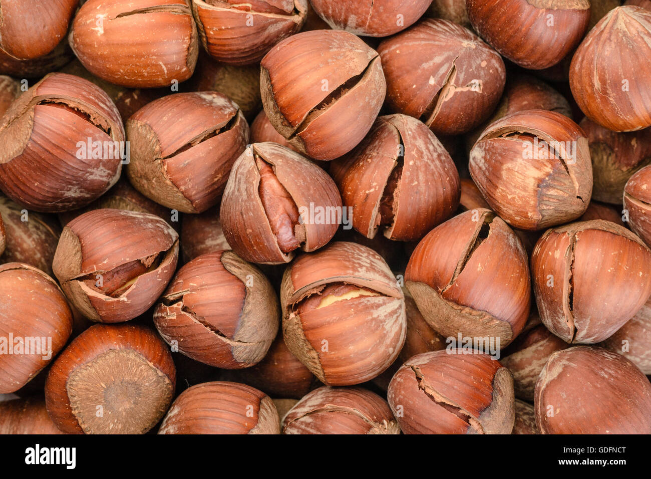 dried hazelnut on the white background Stock Photo - Alamy