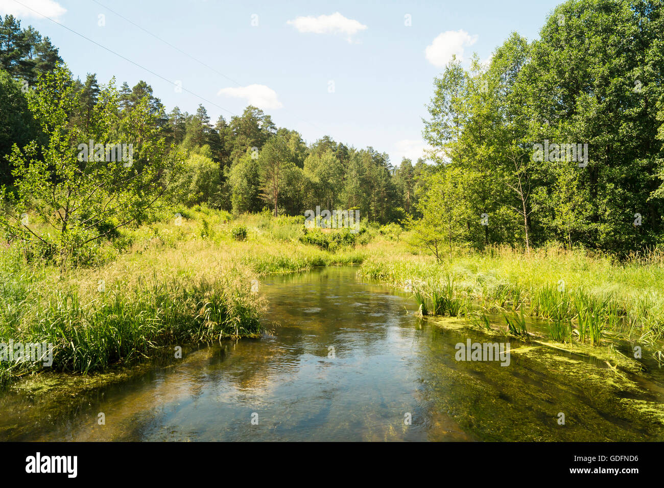 Year landscape with stream on background blue sky and white cloud Stock ...