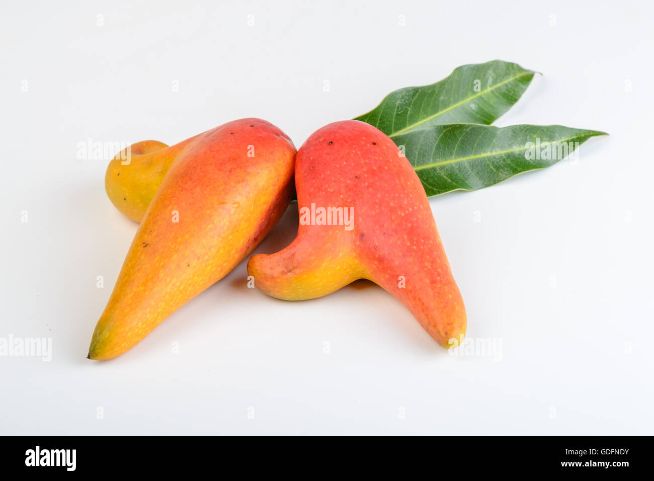 fresh mango and leaves on the white background, it looks like chilli,so ...