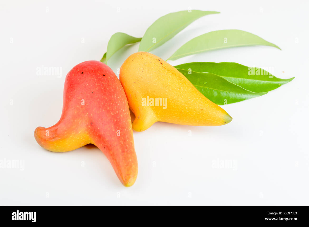 fresh mango and leaves on the white background, it looks like chilli,so ...