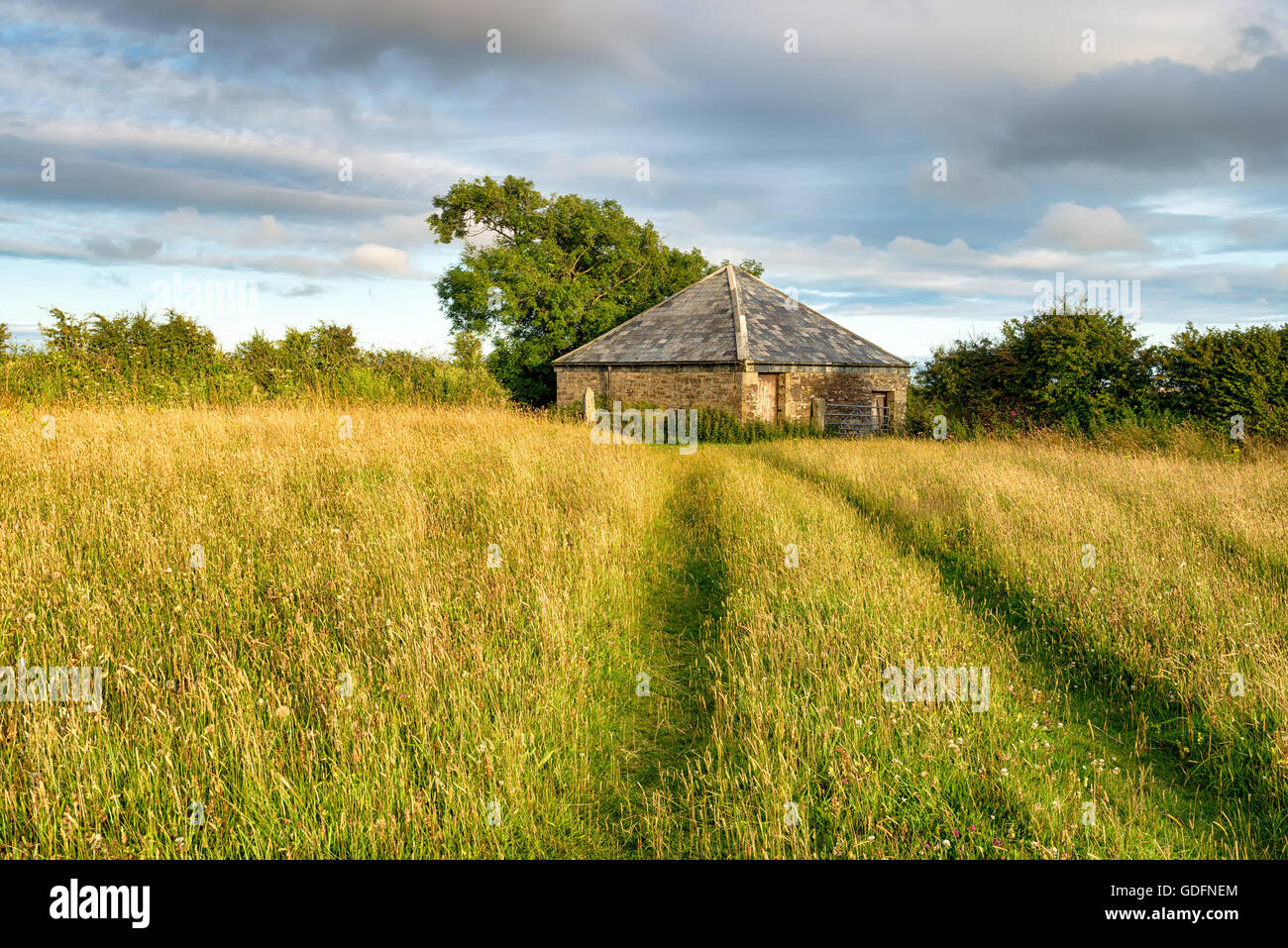 An old barn in grassy meadows at Castle Canyke in Bodmin, Cornwall ...