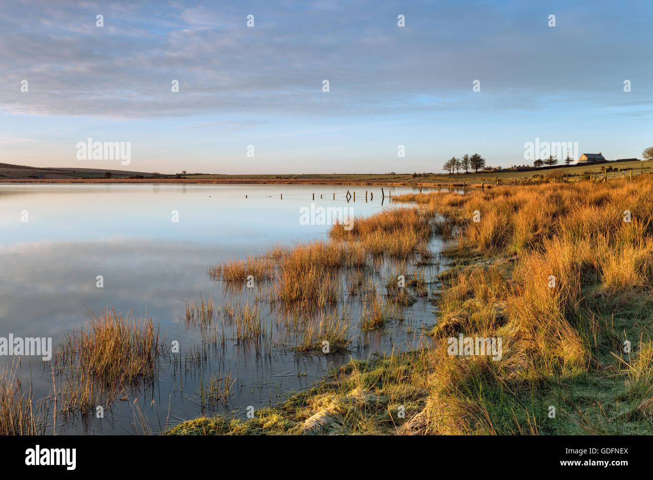 Dozmary pool, a small natural lake on Bodmin Moor in Cornwall Stock ...