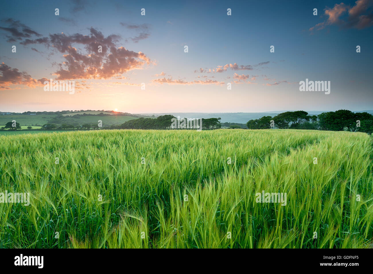 Beautiful cornish farmland landscape hi-res stock photography and ...