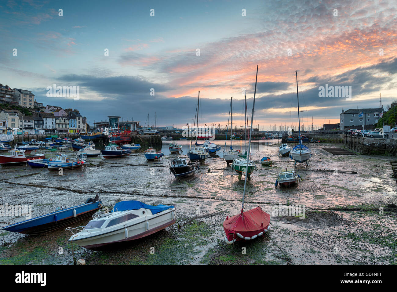 Devon background hi-res stock photography and images - Alamy