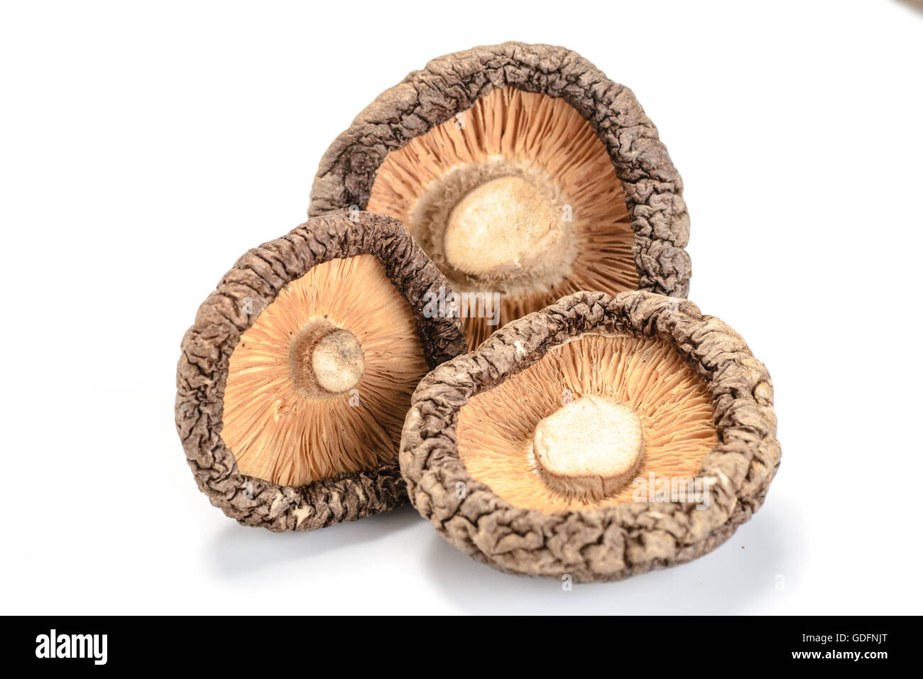 dried shitake mushroom on the white background Stock Photo - Alamy