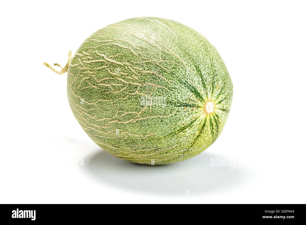 green netted melon on the white background Stock Photo - Alamy