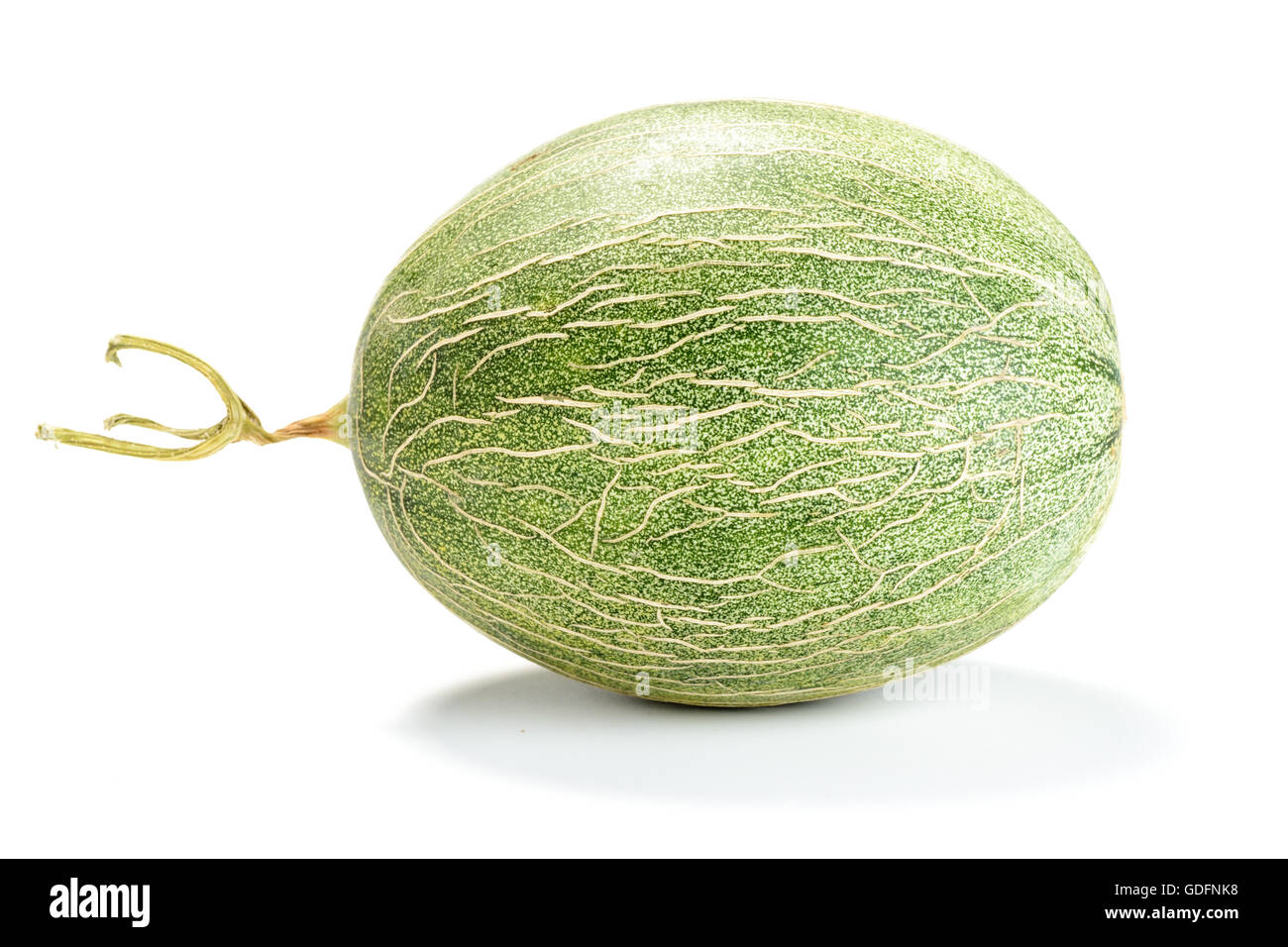 green netted melon on the white background Stock Photo - Alamy
