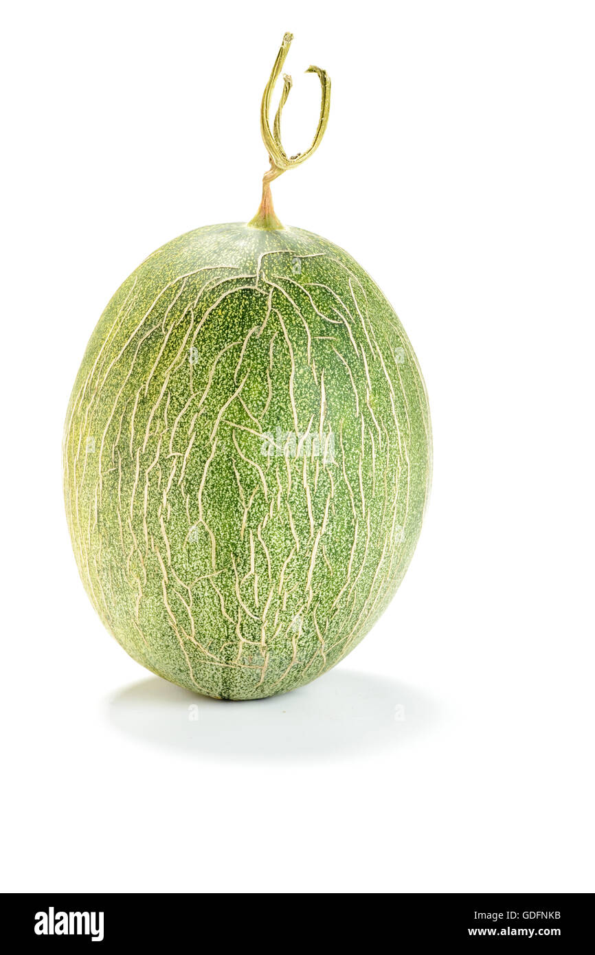 green netted melon on the white background Stock Photo - Alamy