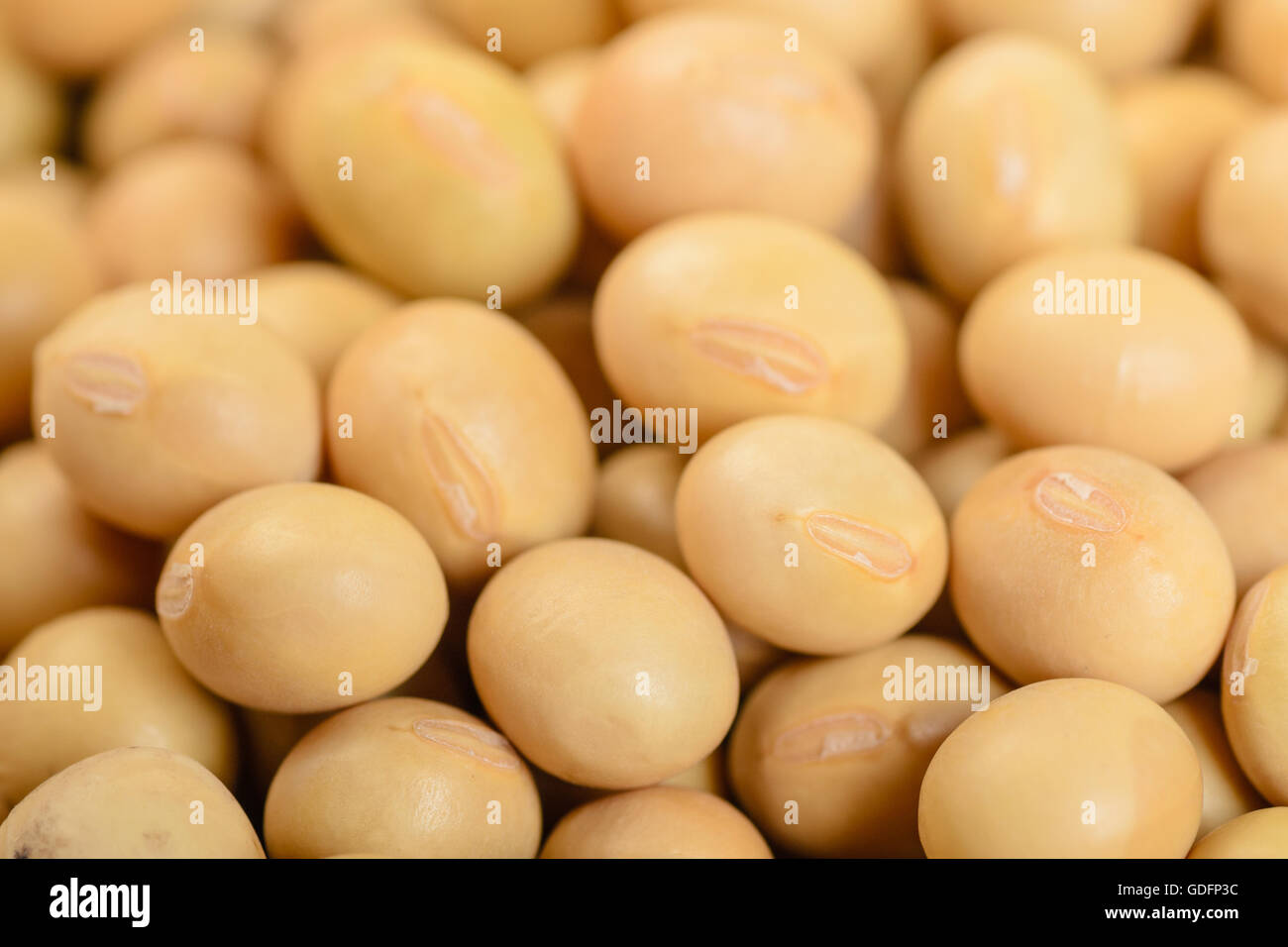 food background of soybean, close up Stock Photo - Alamy