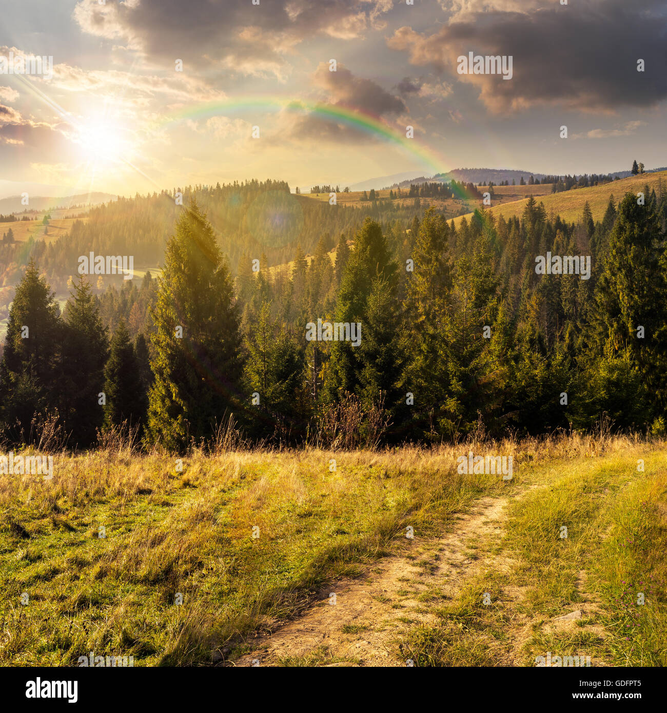 composite image of hillside of mountain range with coniferous forest ...
