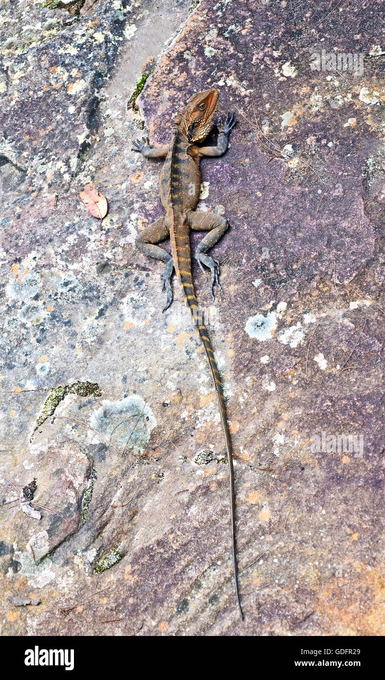 Australian waterways hi-res stock photography and images - Alamy