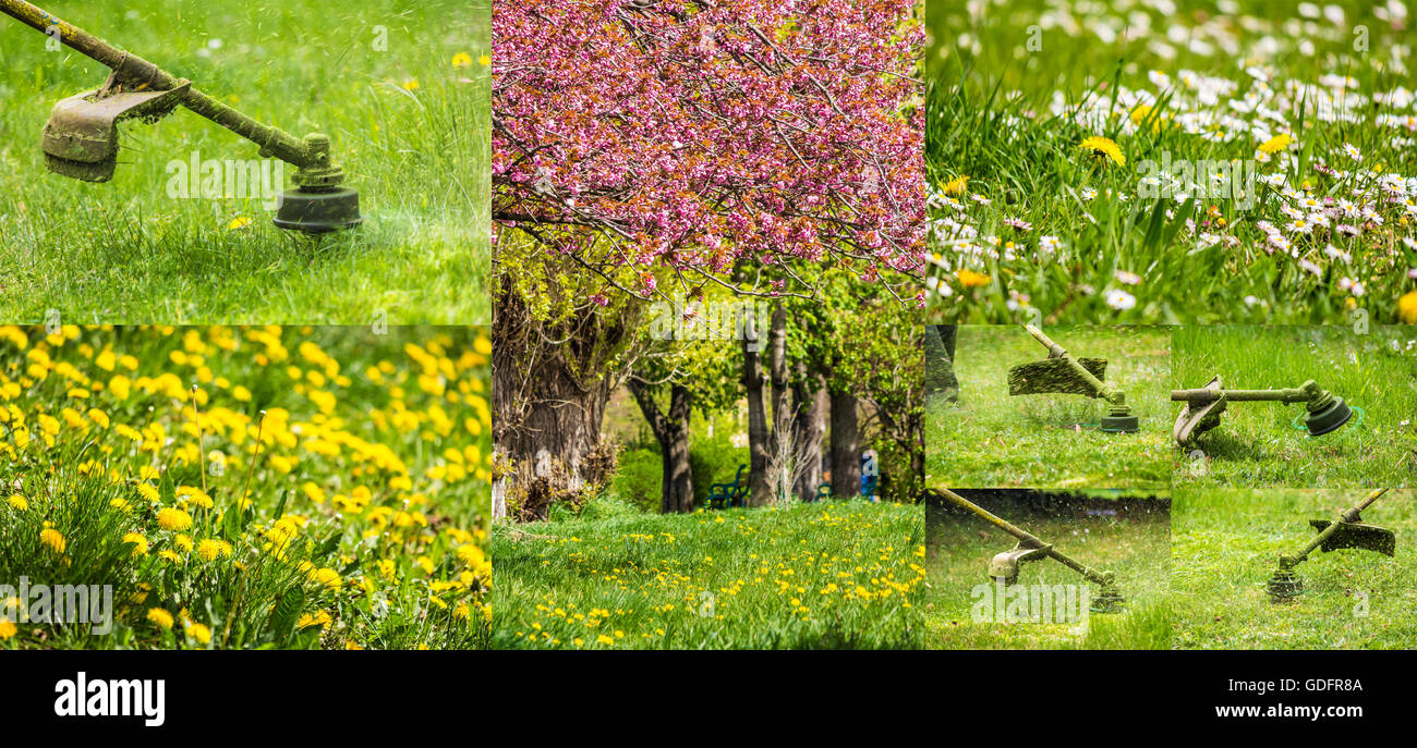 collage images work in garden and dandelion and chamomile lawn with ...