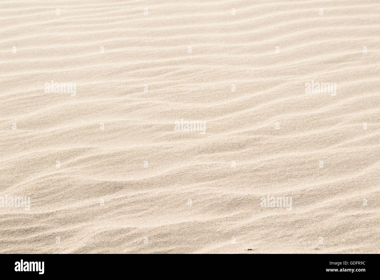 background of sand texture, close up Stock Photo - Alamy