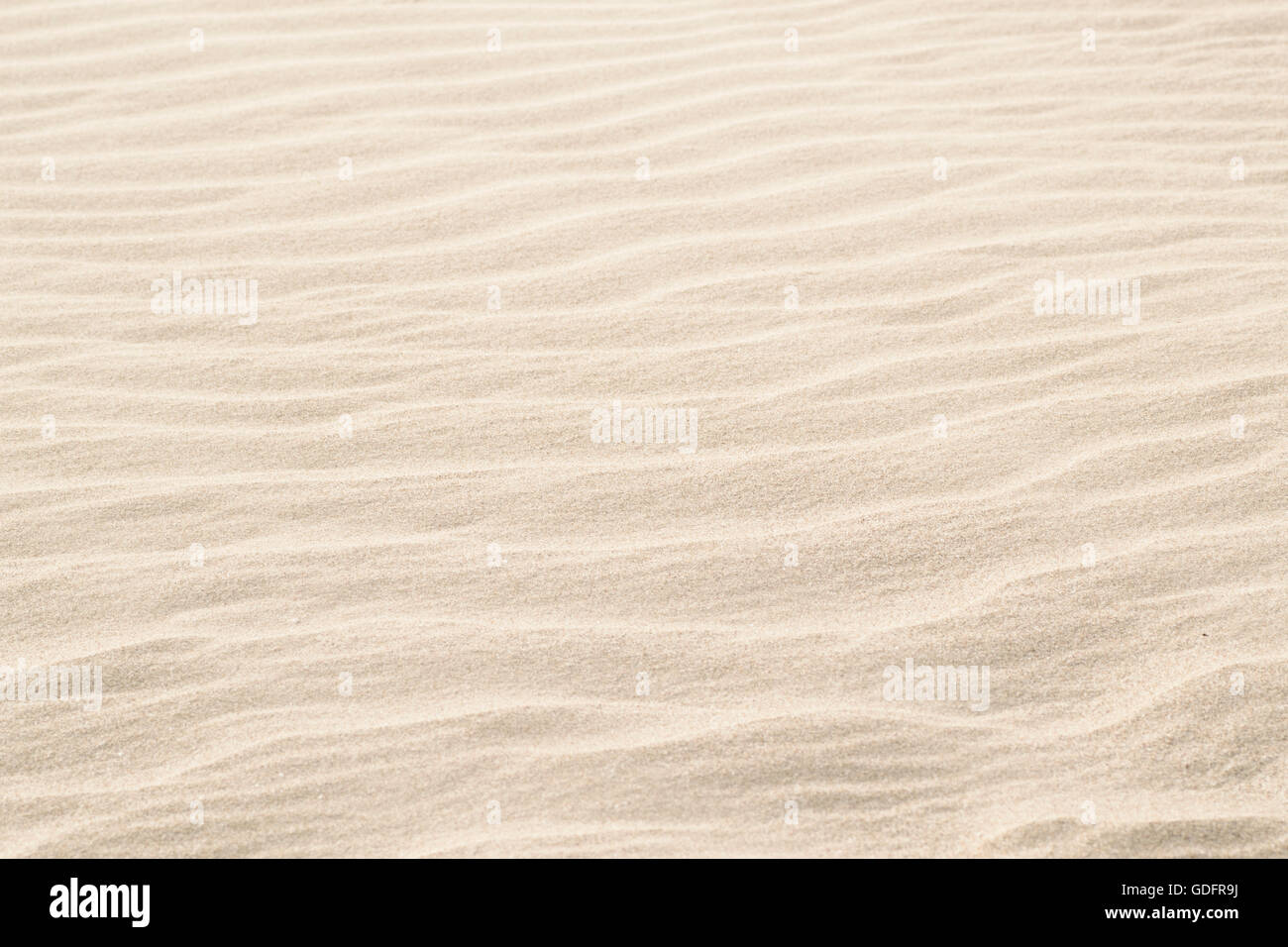 background of sand texture, close up Stock Photo - Alamy