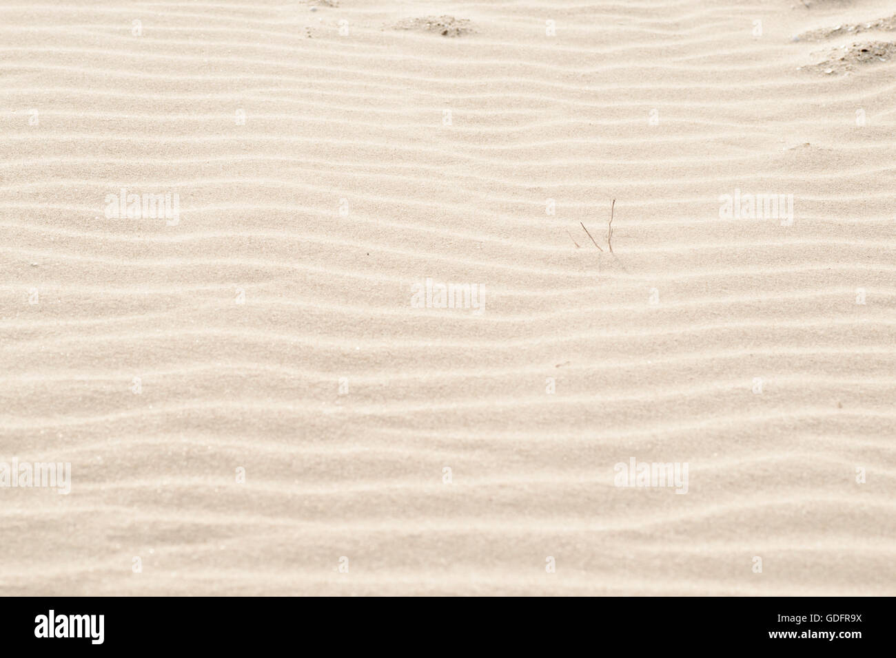 background of sand texture, close up Stock Photo - Alamy