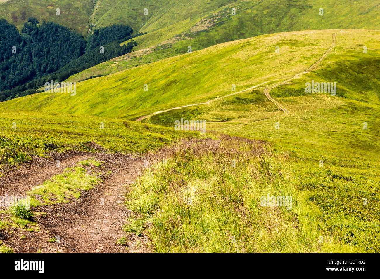 hillside path trough the meadow in mountains Stock Photo - Alamy