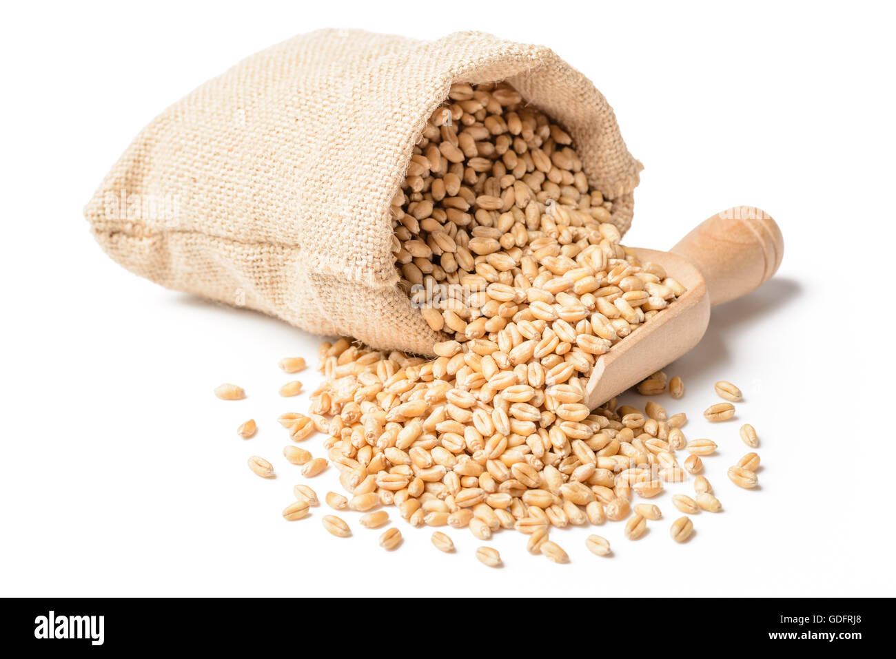 wheat on the white background Stock Photo - Alamy