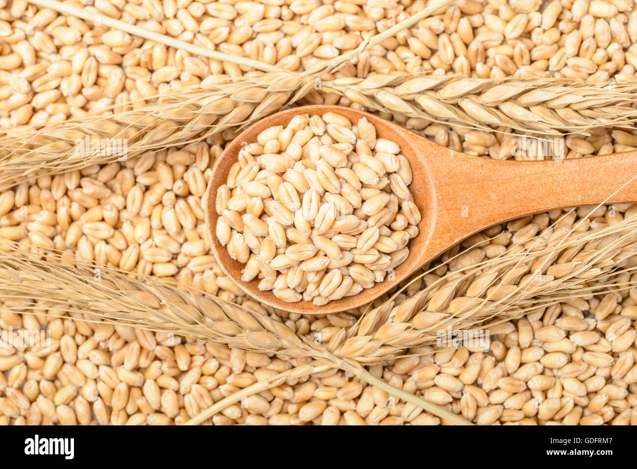 wheat on the white background Stock Photo - Alamy