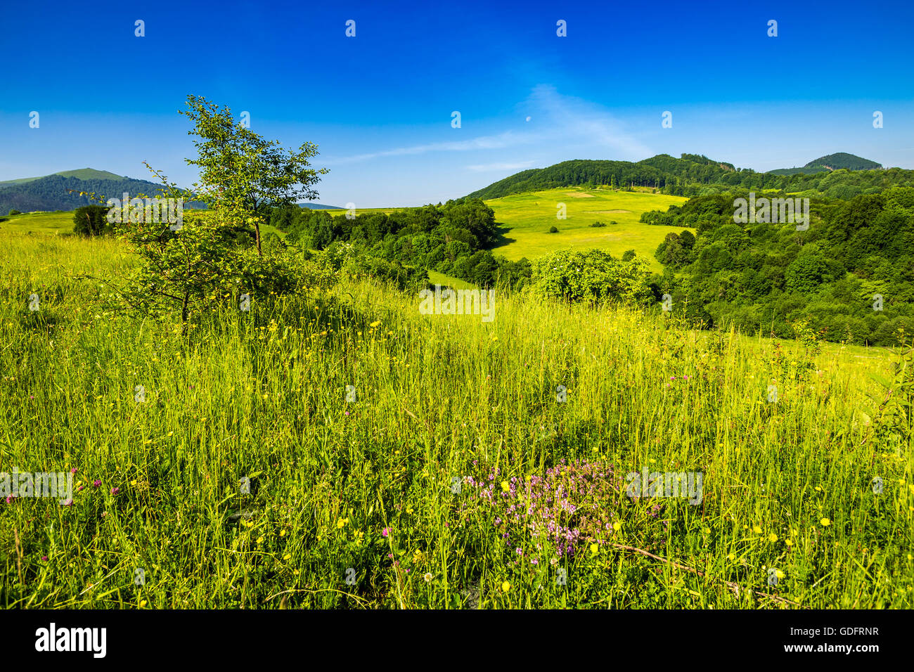 Agriculture mountain hi-res stock photography and images - Alamy