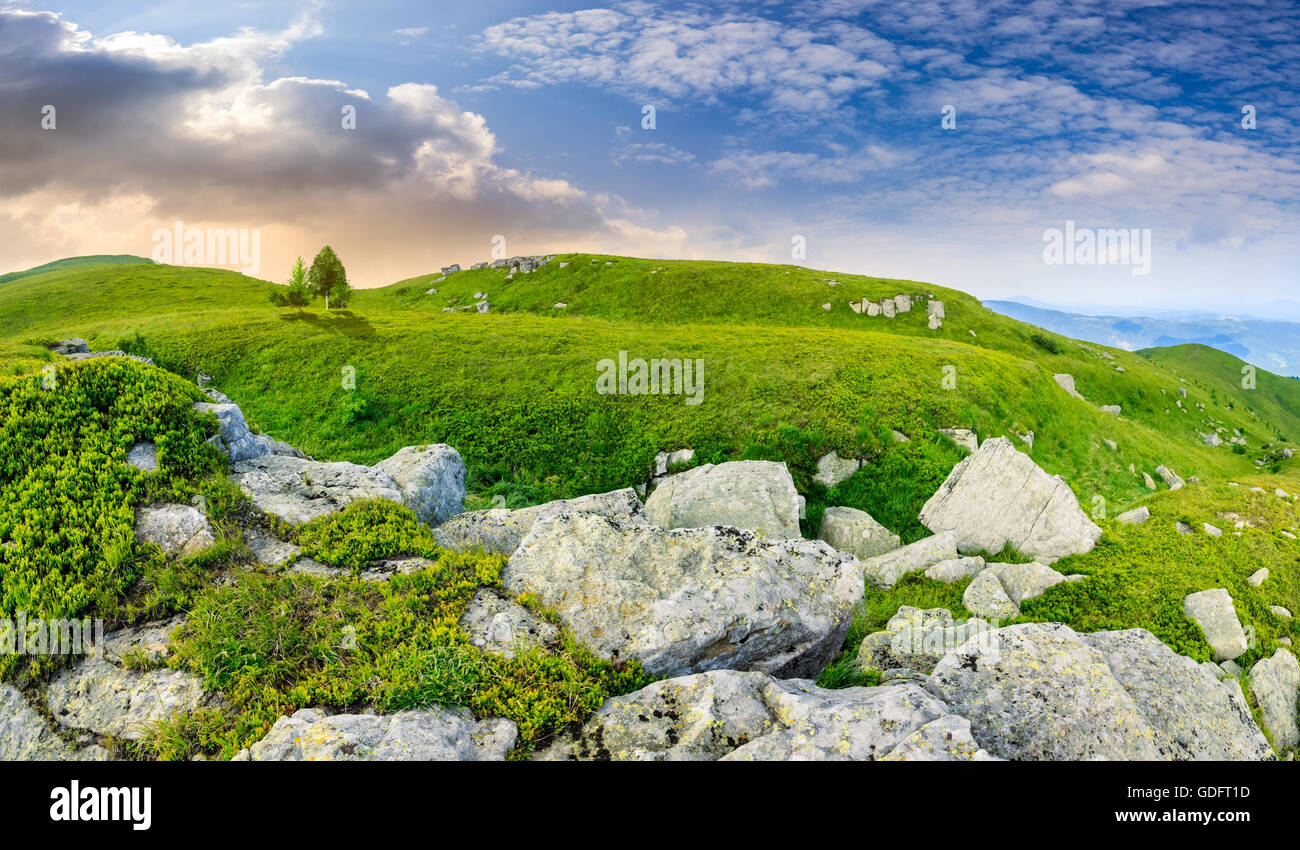 composite landscape with few trees among white sharp boulders in the ...