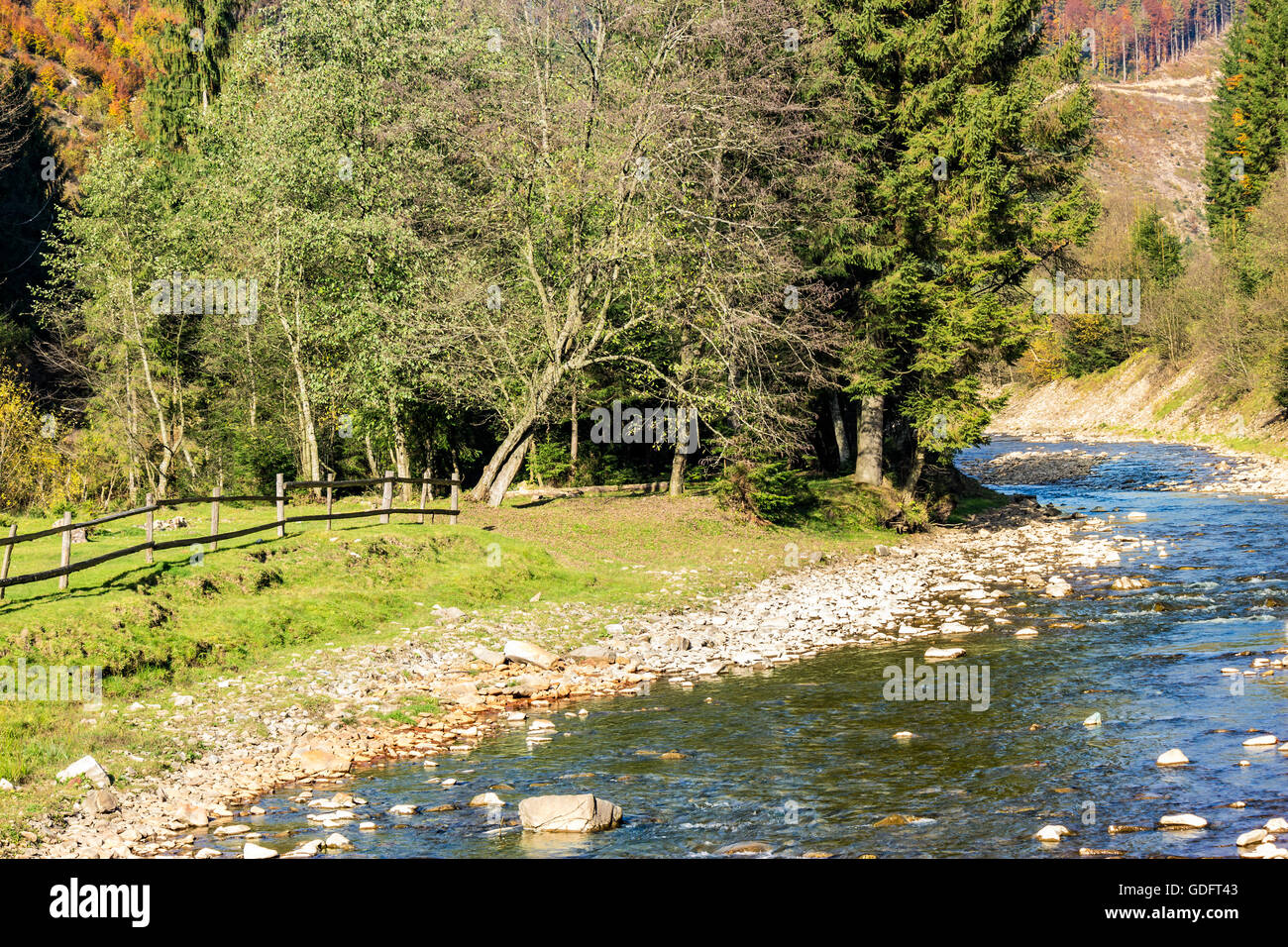 Forest and stone fence hi-res stock photography and images - Alamy