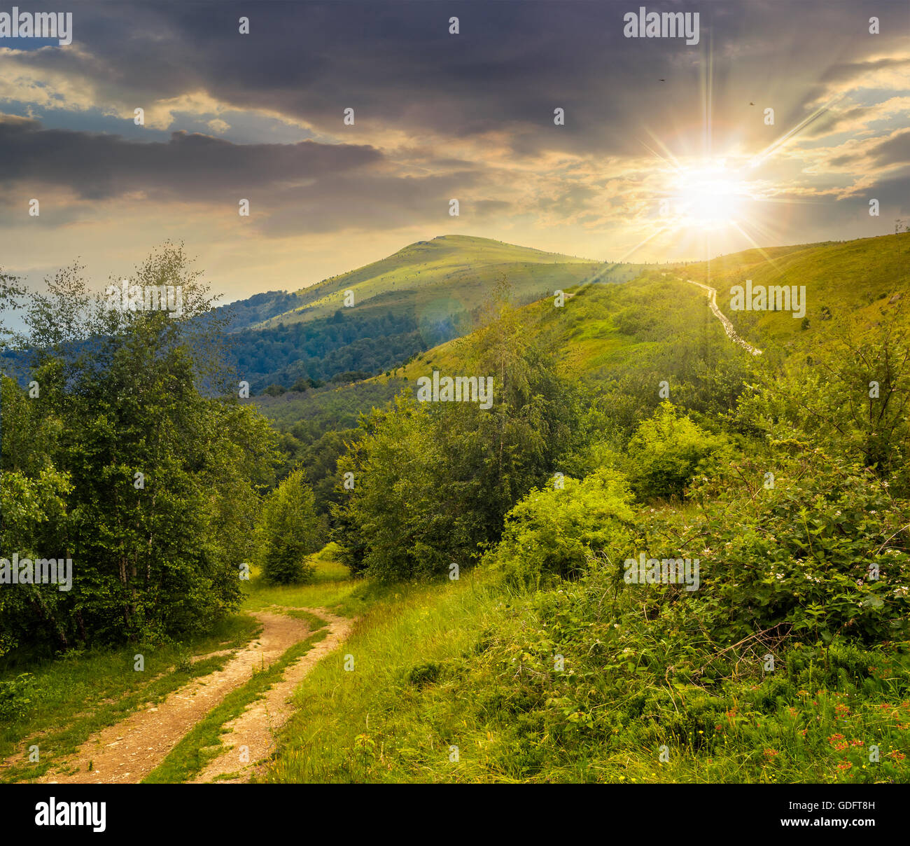 composite landscape. path through the field with green grass in ...