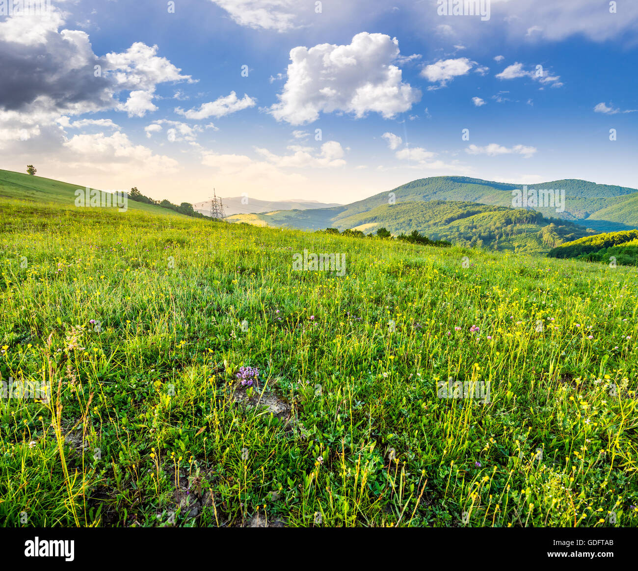 Hillside grass hi-res stock photography and images - Alamy