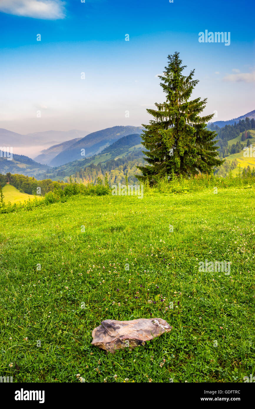 Tree forest front edge sky hi-res stock photography and images - Alamy