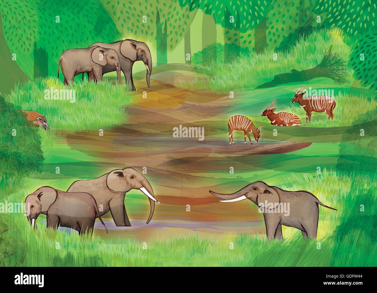 Illustration of a Bai habitat in the Congo Stock Photo - Alamy