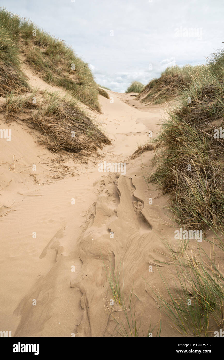 Sand dunes at Formby point, Merseyside Stock Photo - Alamy