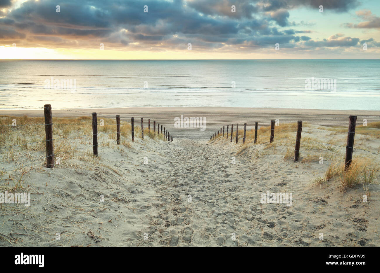 sand path to the North sea at sunset, Holland Stock Photo - Alamy