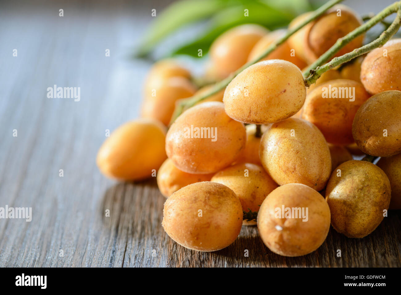 Wampi hi-res stock photography and images - Alamy