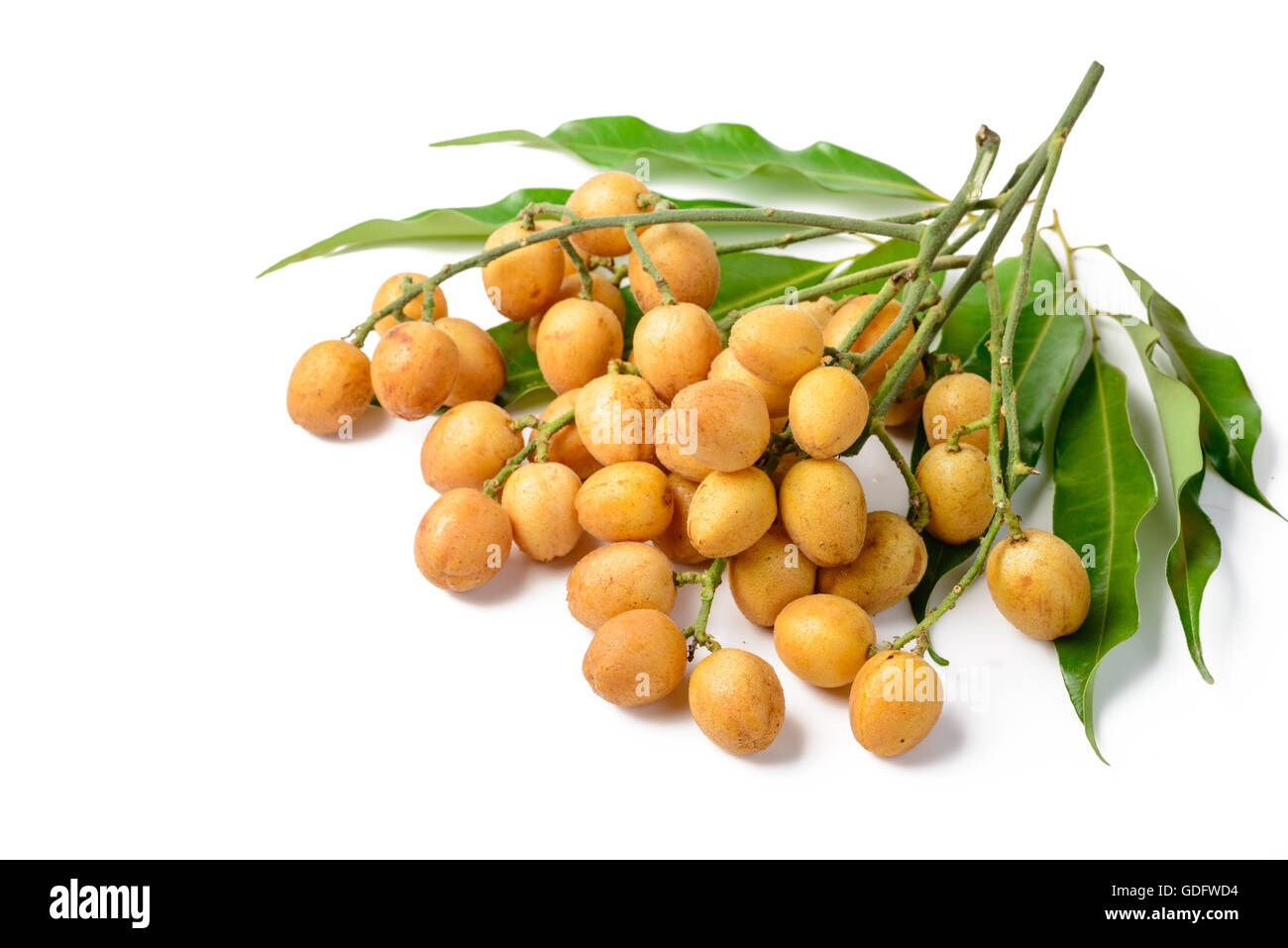 fresh wampee fruit Stock Photo - Alamy
