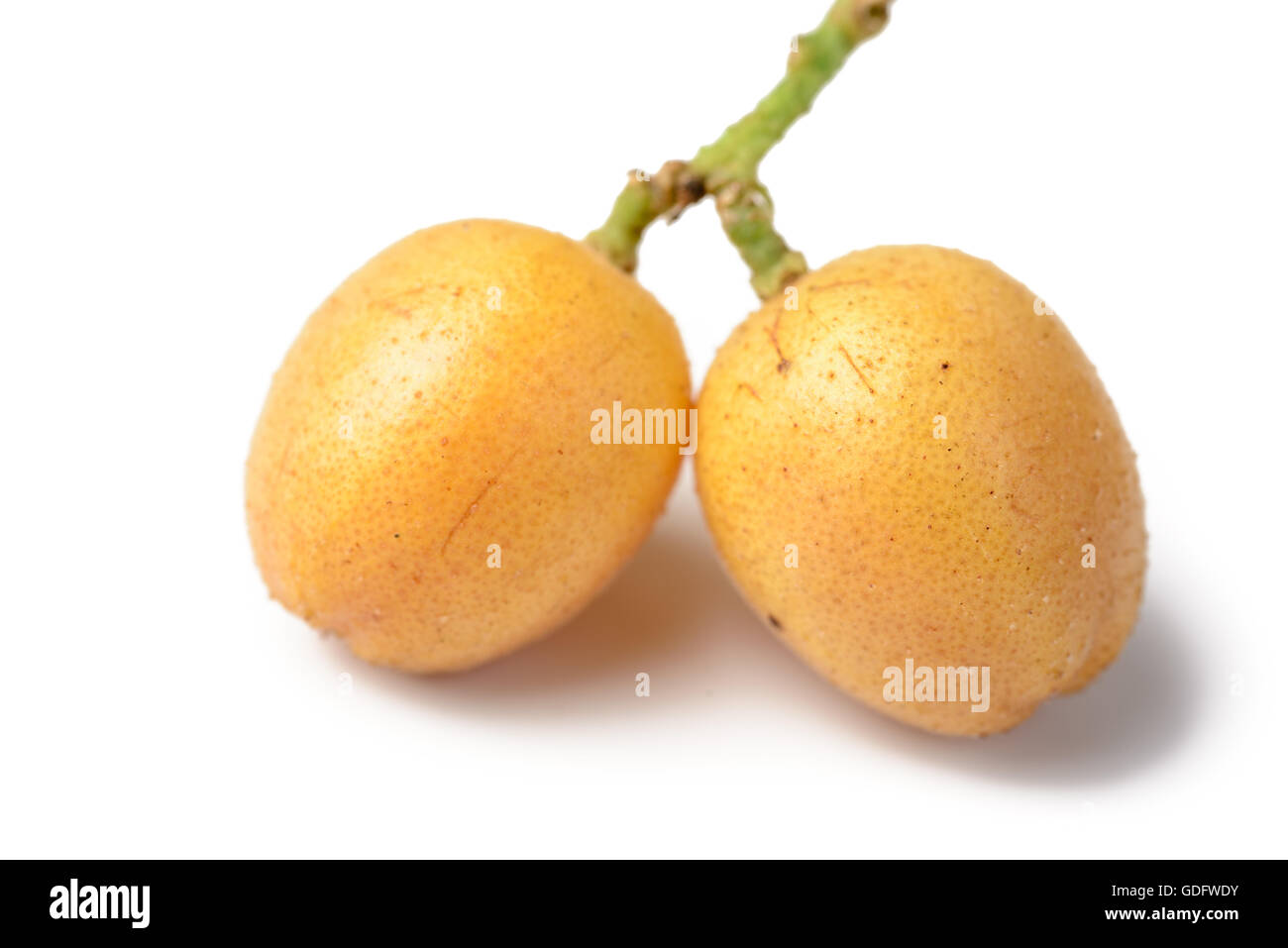 Wampi hi-res stock photography and images - Alamy