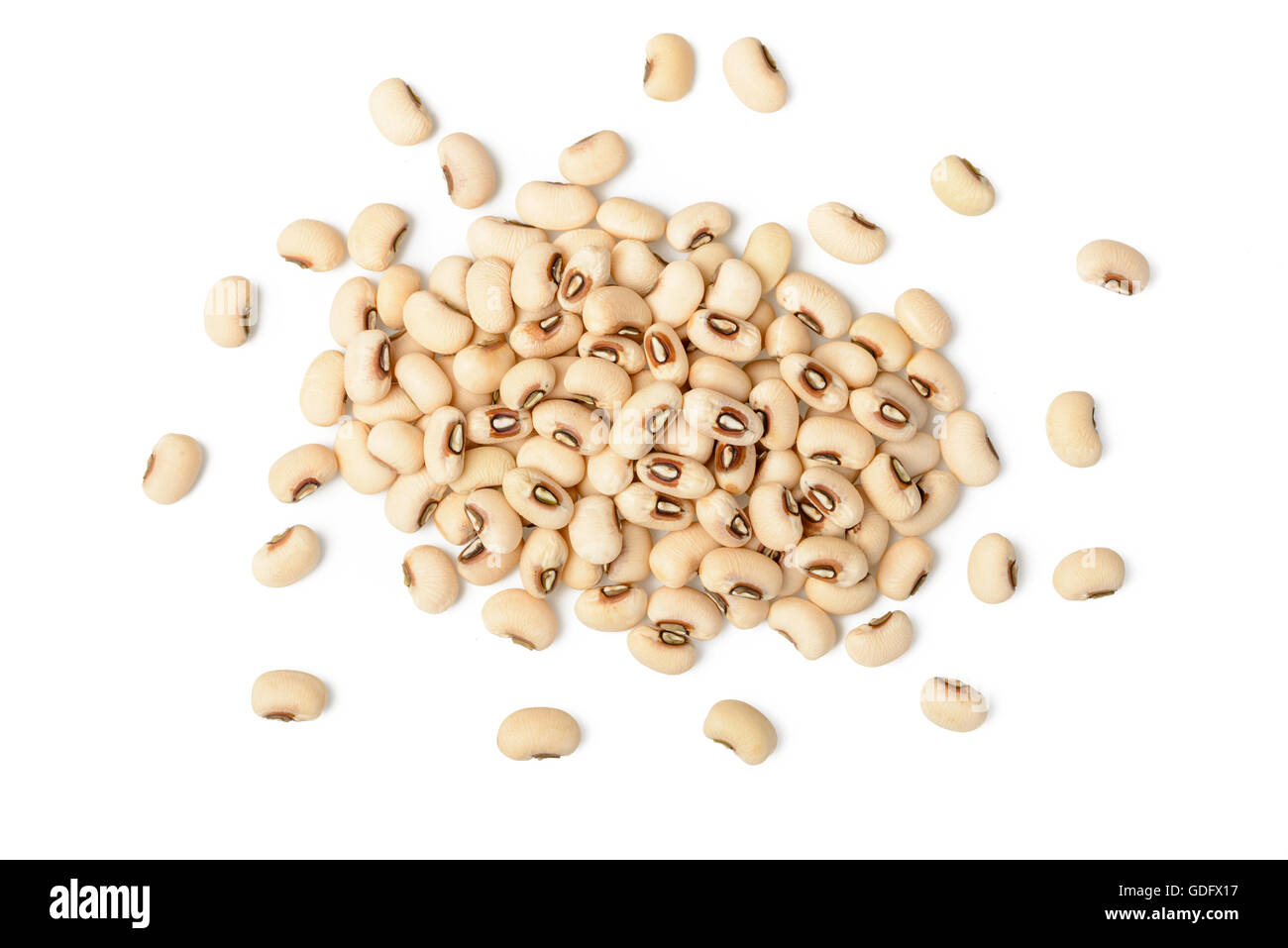 Cow beans Cut Out Stock Images & Pictures - Alamy