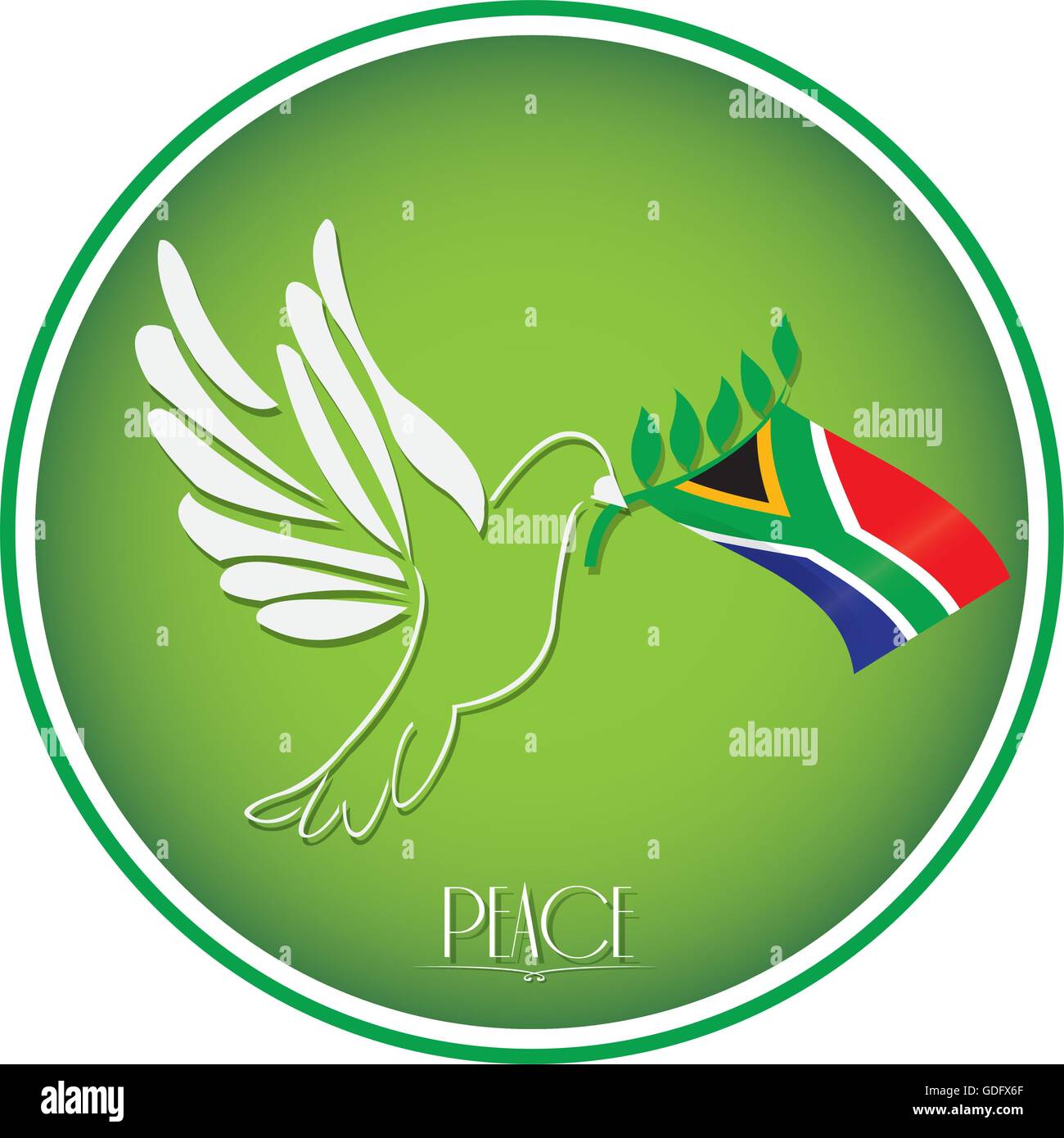 Isolated south african flag, Pigeon, Conceptual peace, Vector ...