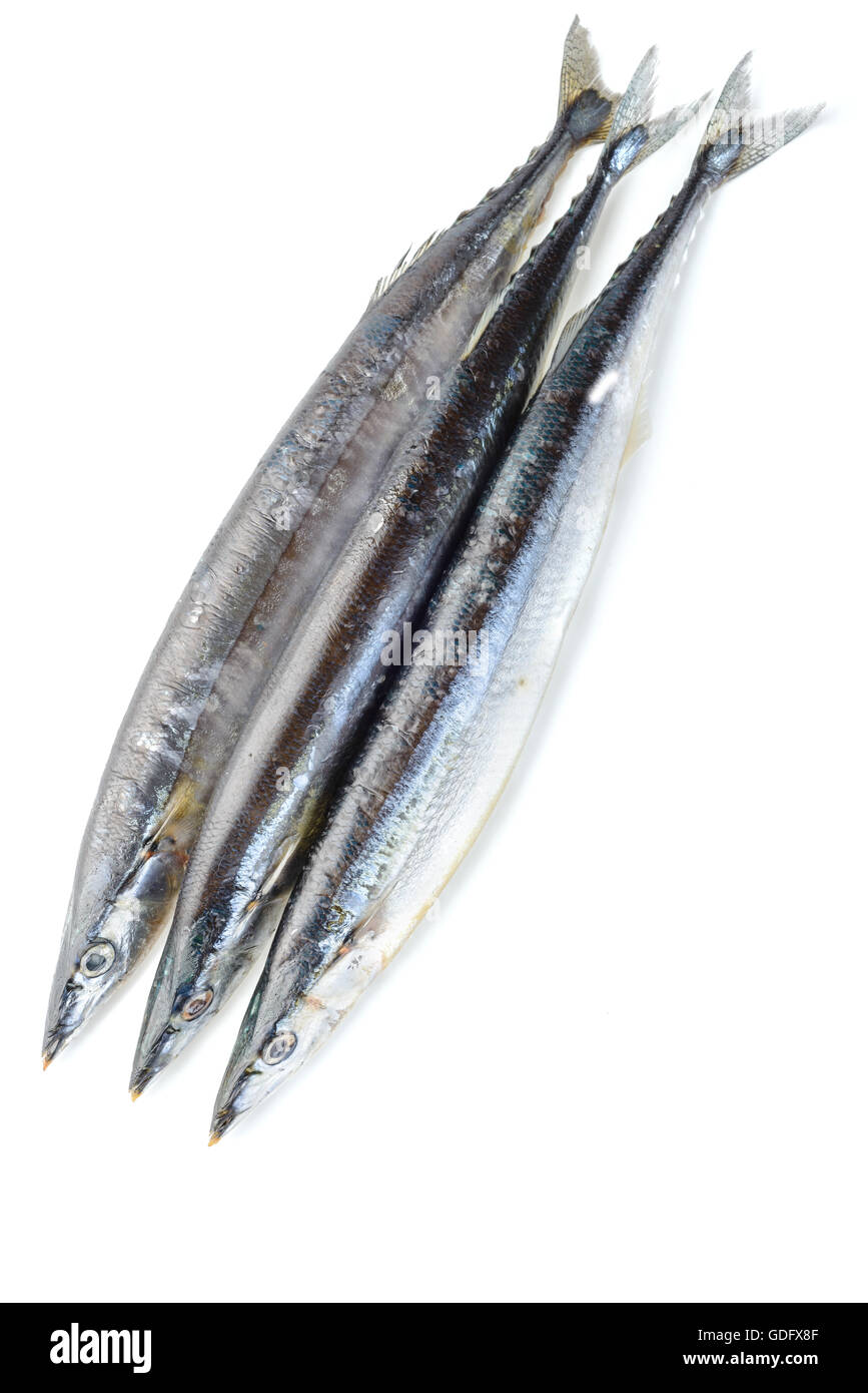 Asian pacific fish hi-res stock photography and images - Alamy