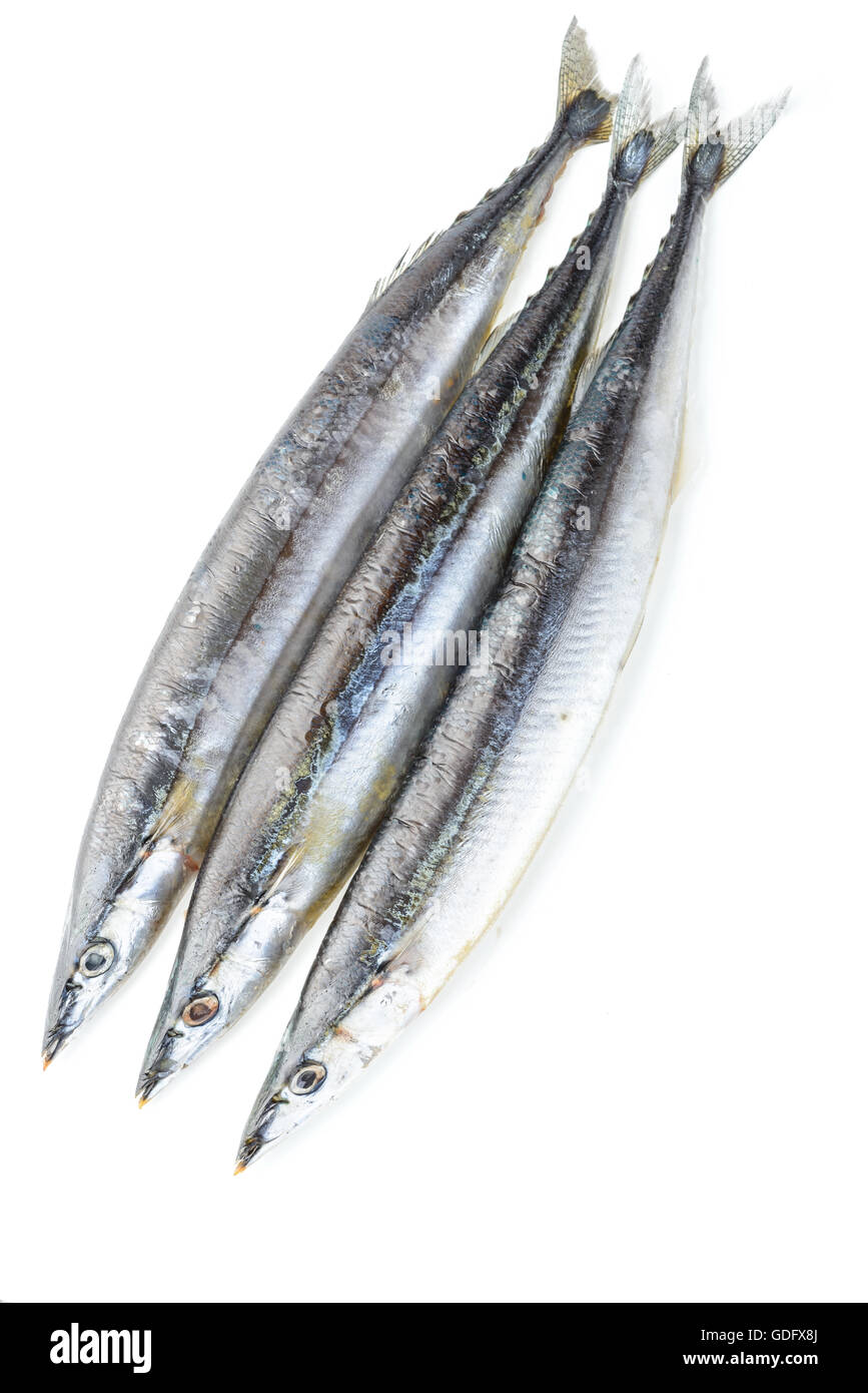 saury fish on white Stock Photo - Alamy