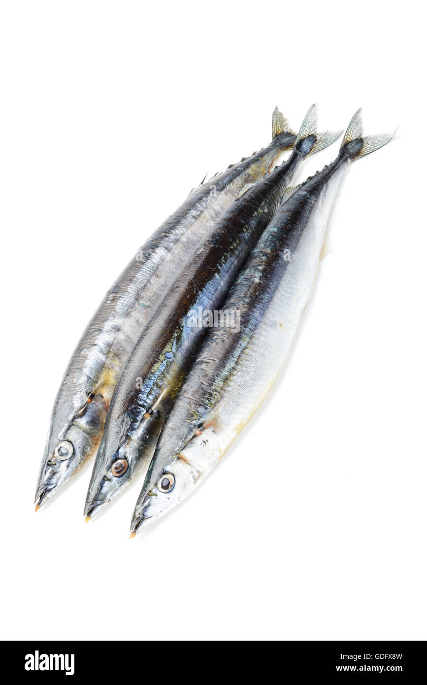 saury fish on white Stock Photo - Alamy