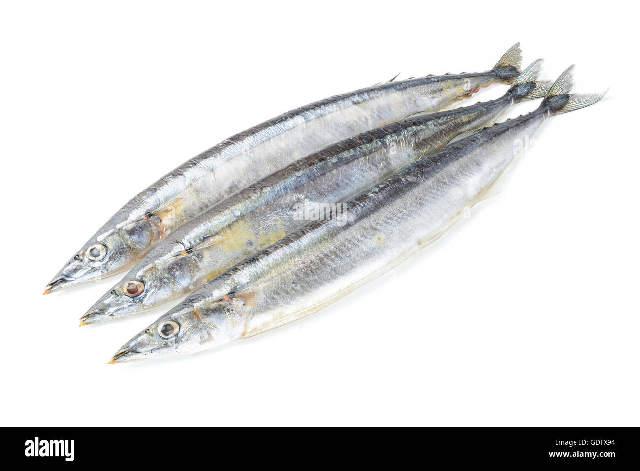 Saury hi-res stock photography and images - Alamy