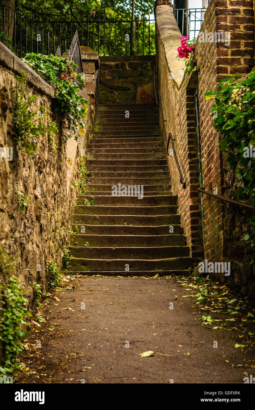 Hidden stone staircase in garden Stock Photo - Alamy