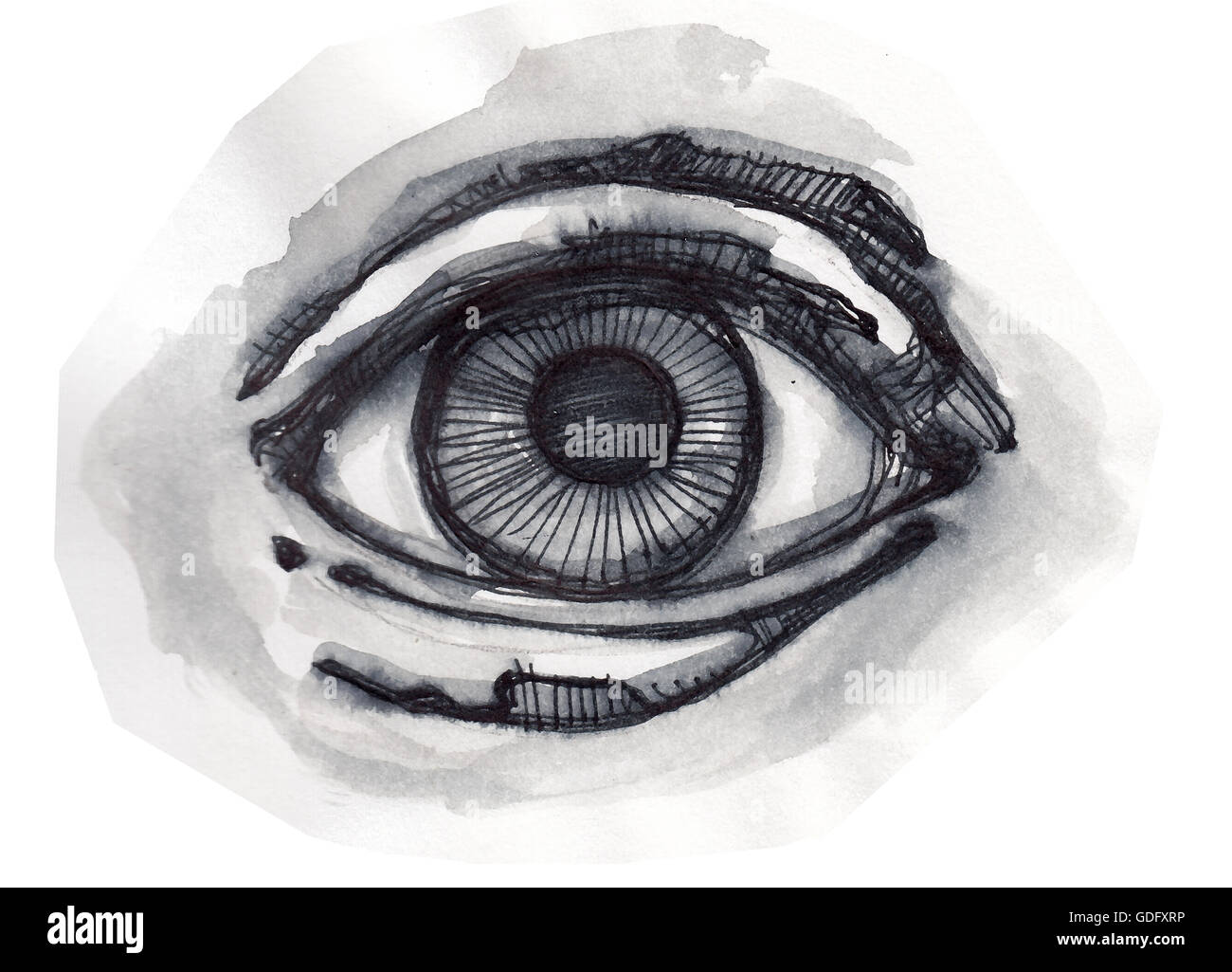 Hand drawn illustration or drawing of a human eye Stock Photo - Alamy