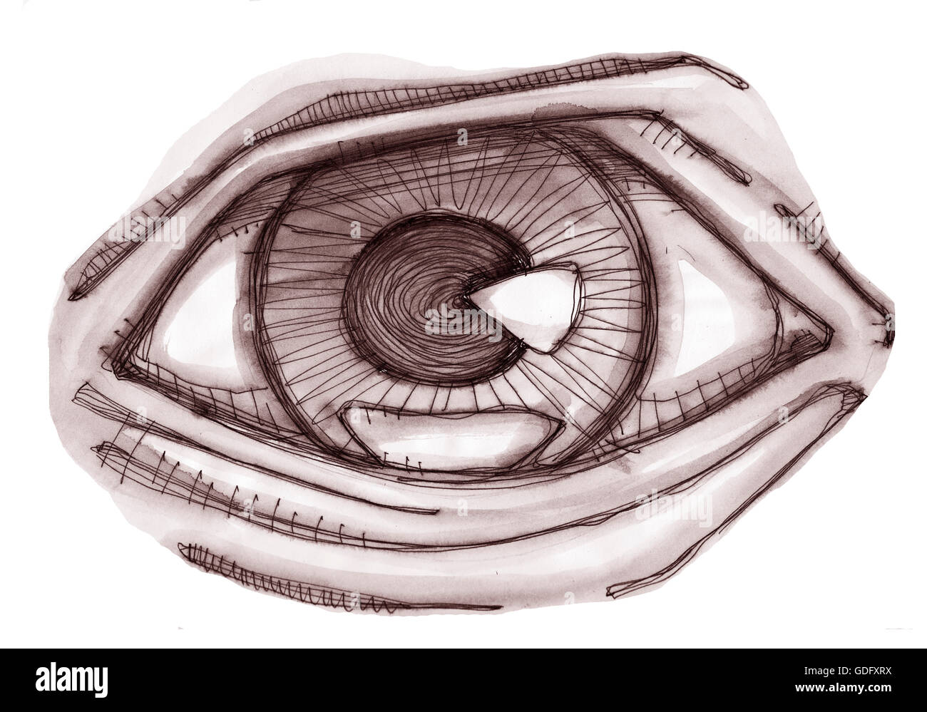 Hand drawn illustration or drawing of a human eye Stock Photo - Alamy