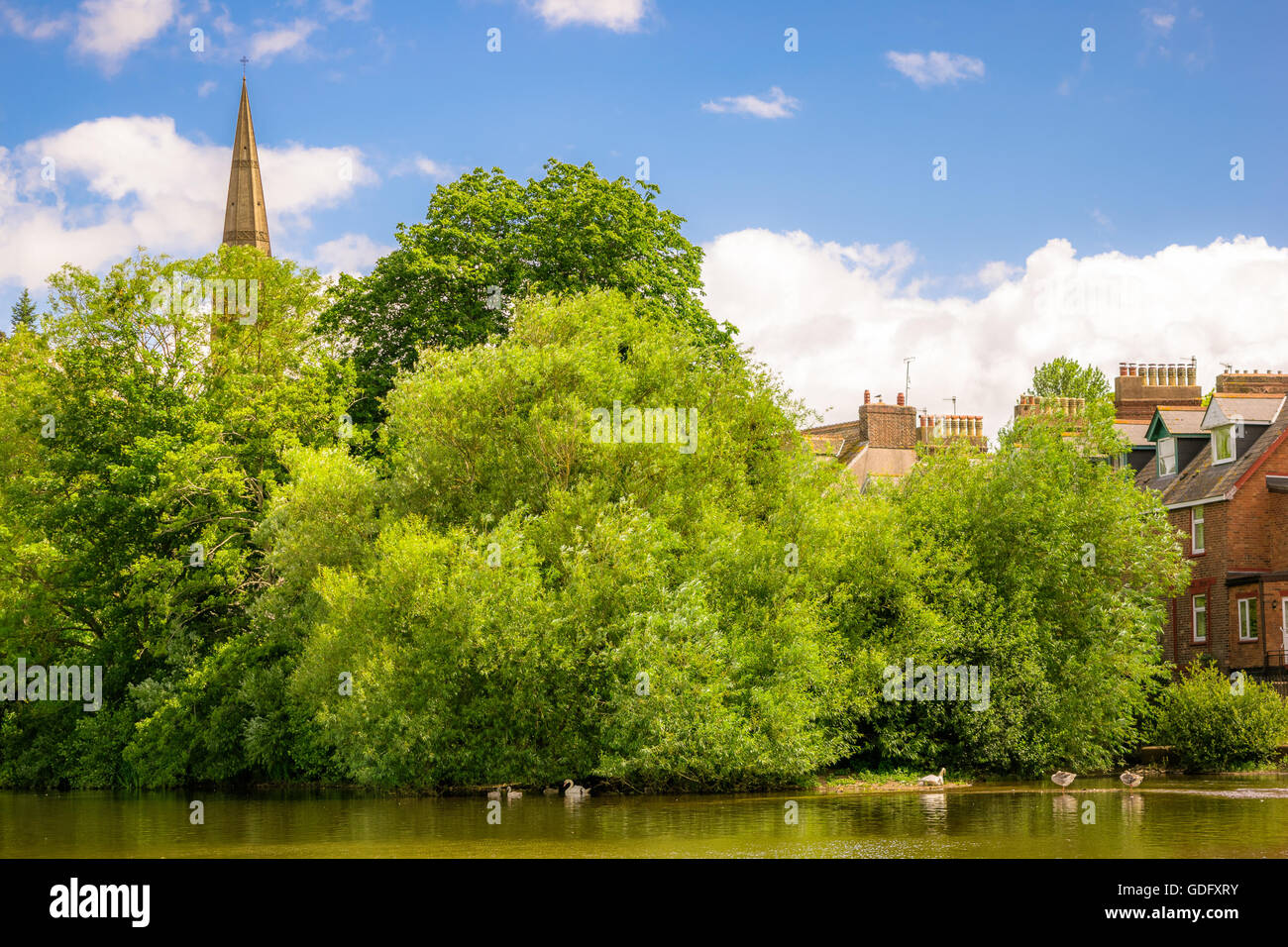 Exeter view hi-res stock photography and images - Alamy