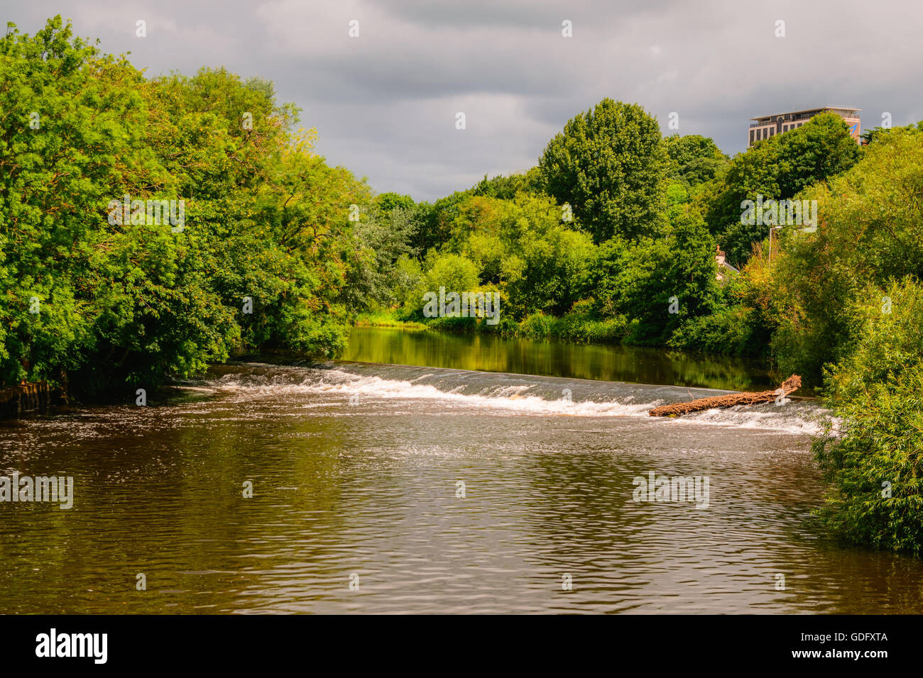 Exeter river with trees on the shore Stock Photo - Alamy