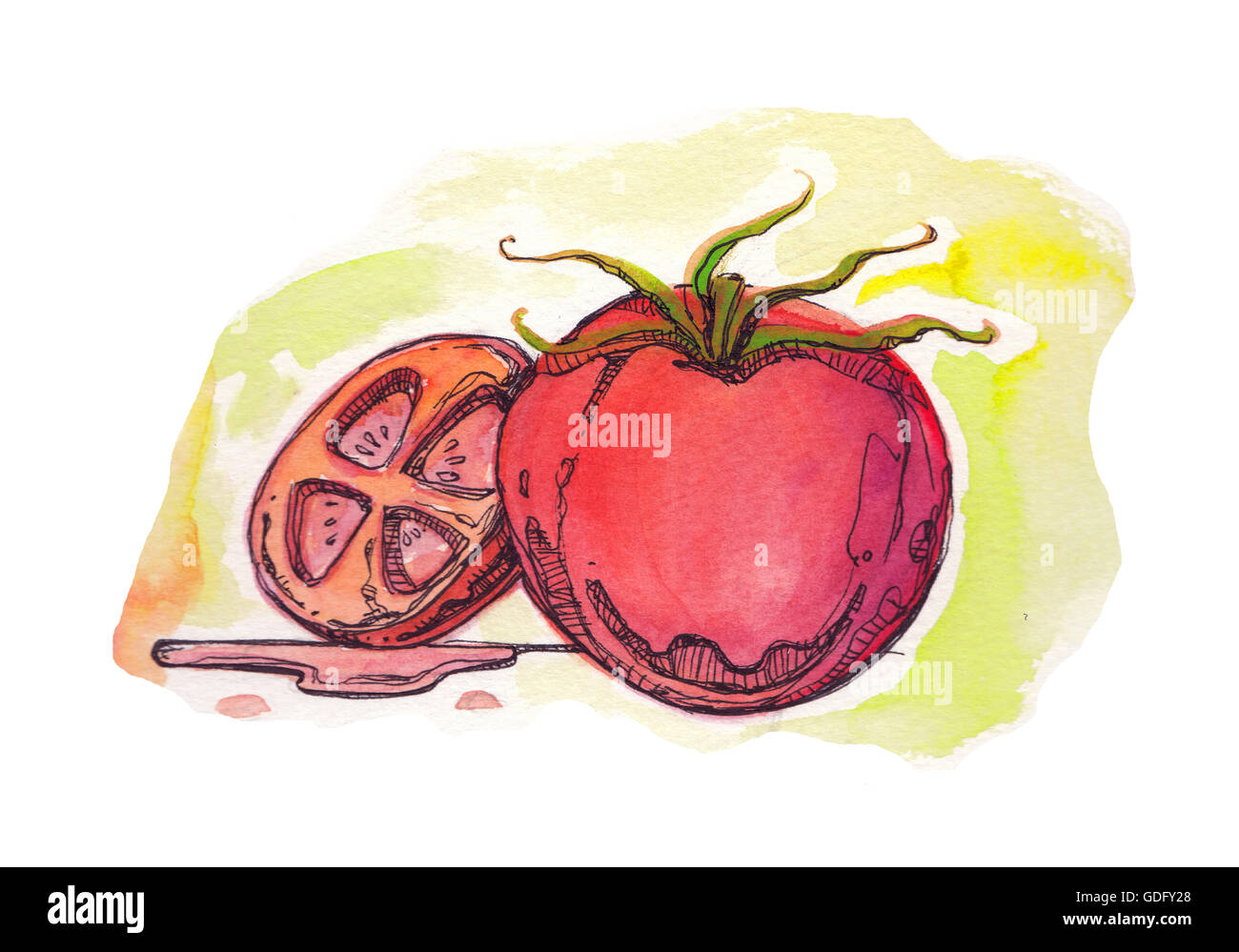 Hand drawn illustration drawing tomato hi-res stock photography and ...