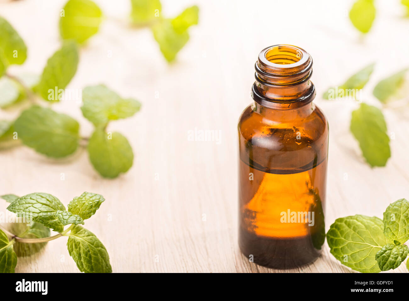 Oil of spearmint hi-res stock photography and images - Alamy