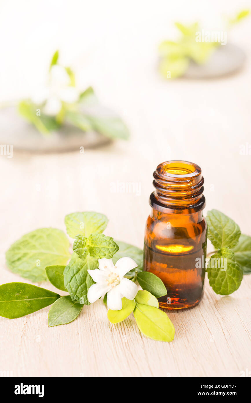 Oil of spearmint hi-res stock photography and images - Alamy