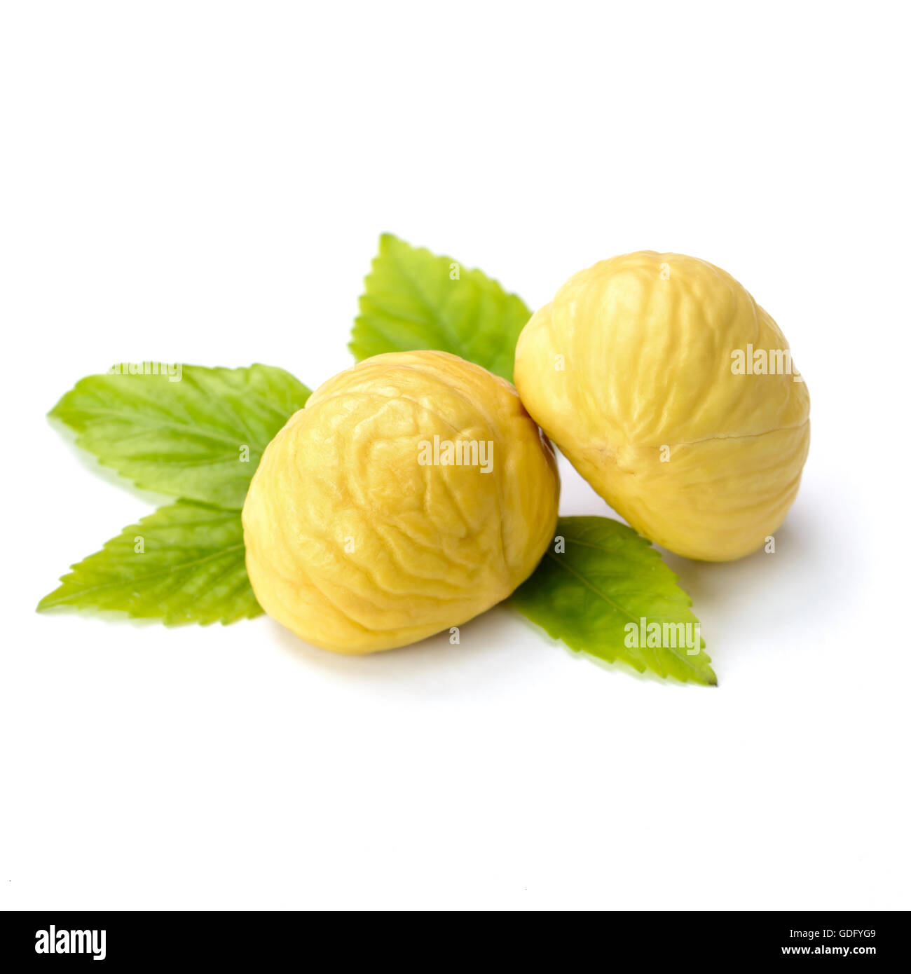 chestnut on white Stock Photo - Alamy