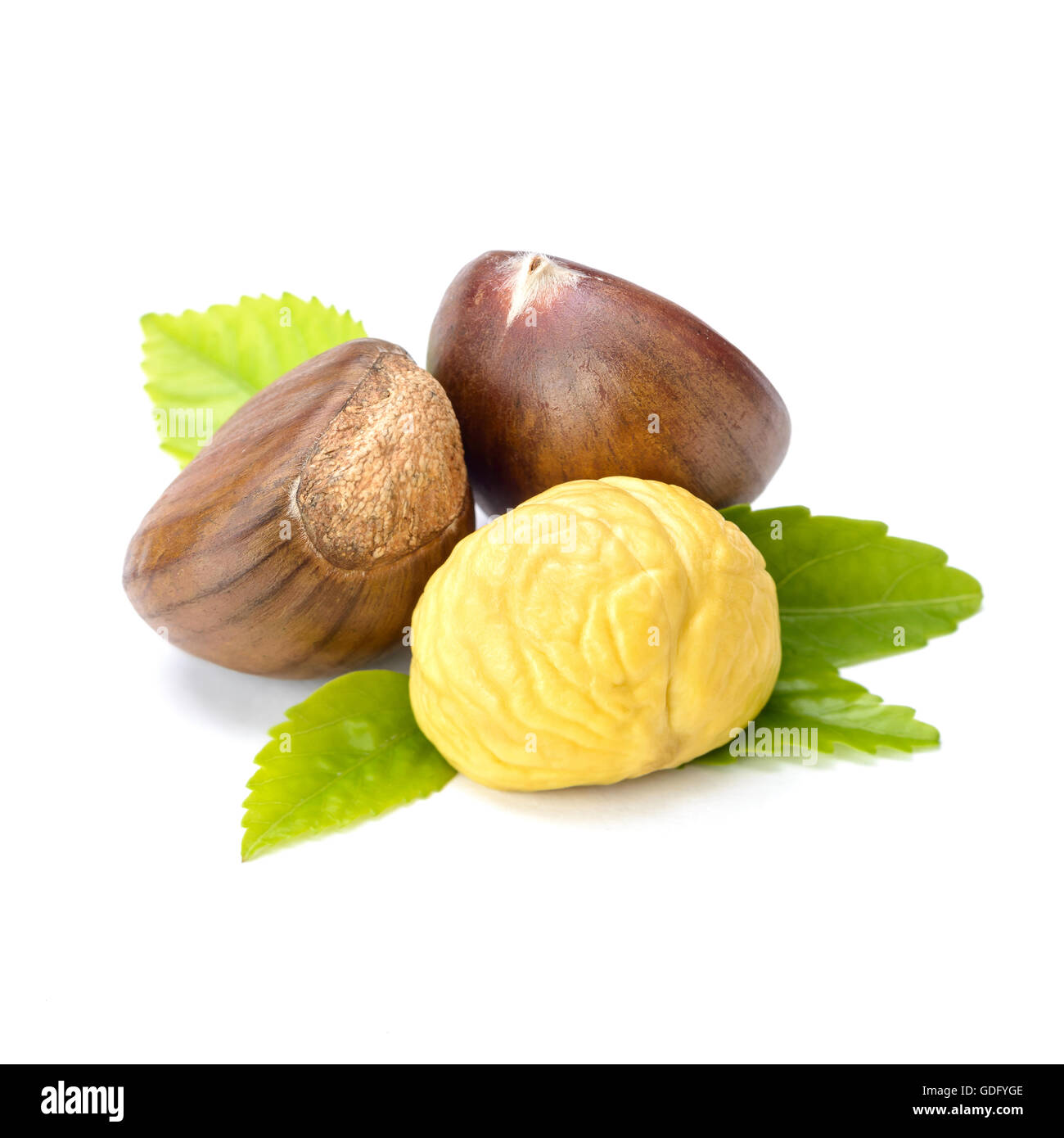 Heap chestnut autumn food Cut Out Stock Images & Pictures - Alamy